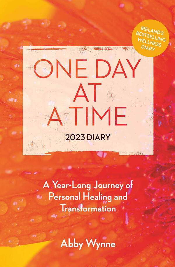 Gill Books - Irish Gift - One Day at a Time Diary 2023