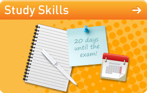 Home - Less Stress More Success